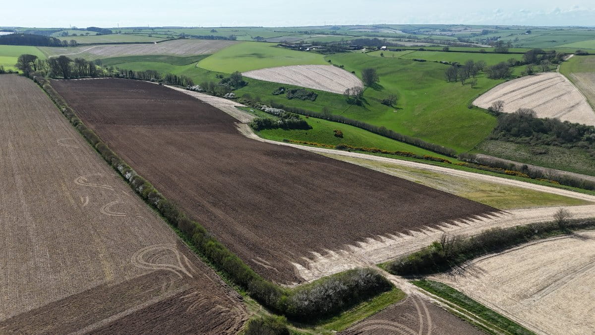 Land for sale in Cruxton, Lot 2: Land At Cruxton Manor Farm, DT2 ...